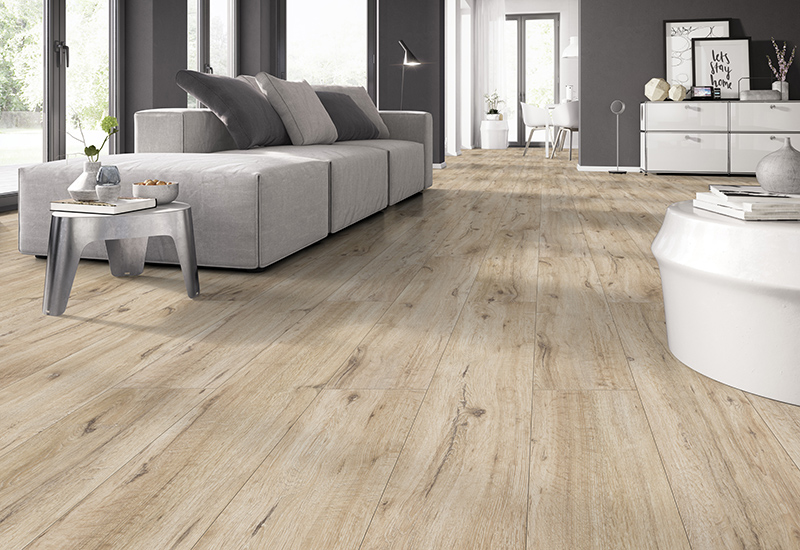 48783_room_1 - Classen