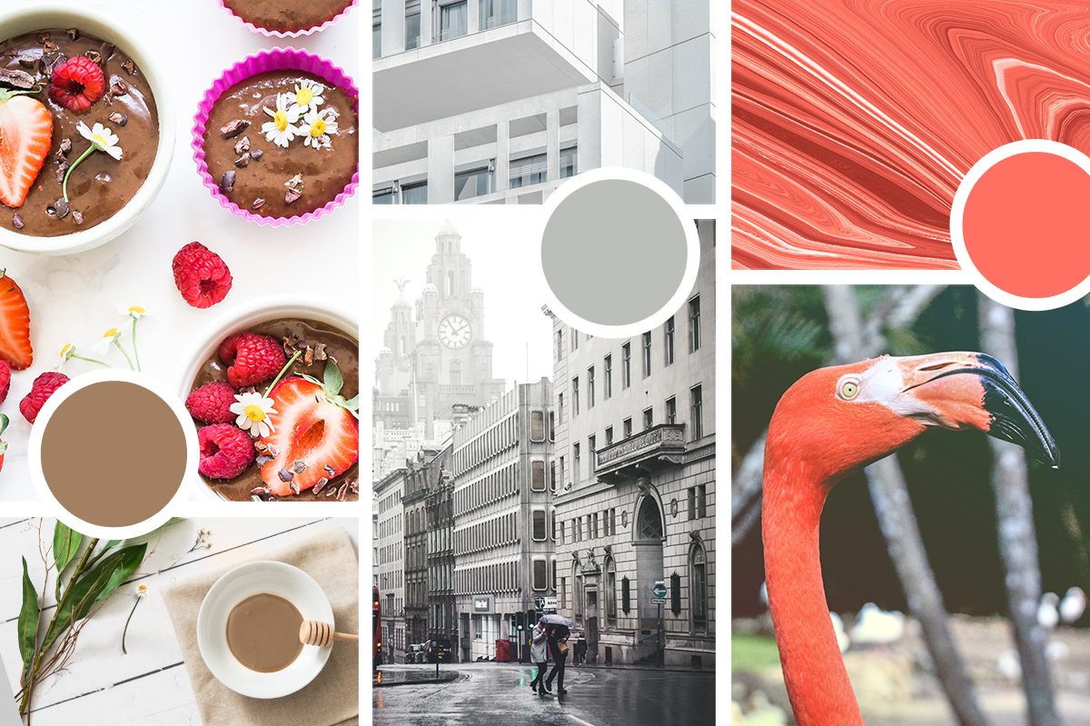 Najgorętsze kolory roku 2019 we wnętrzach - Spiced Honey, Metropolitan ...